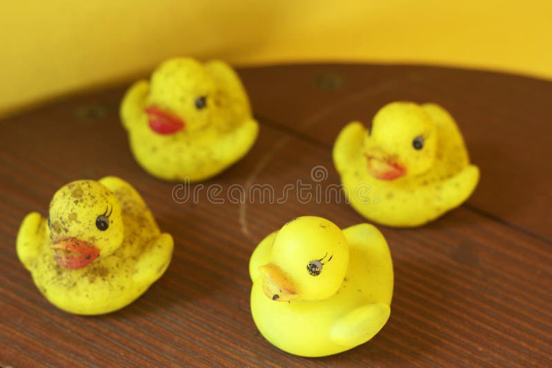 Yellow Rubber Duck at Groups Stock Image - Image of sand, kids: 48090463