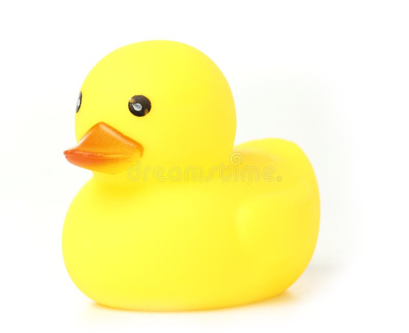 Yellow Rubber Duck Isolated Stock Image - Image of isolated, ducky ...