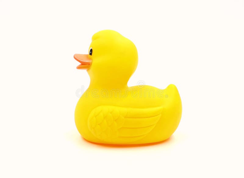 Yellow Rubber Duck Isolated on White Background. Stock Photo - Image of ...