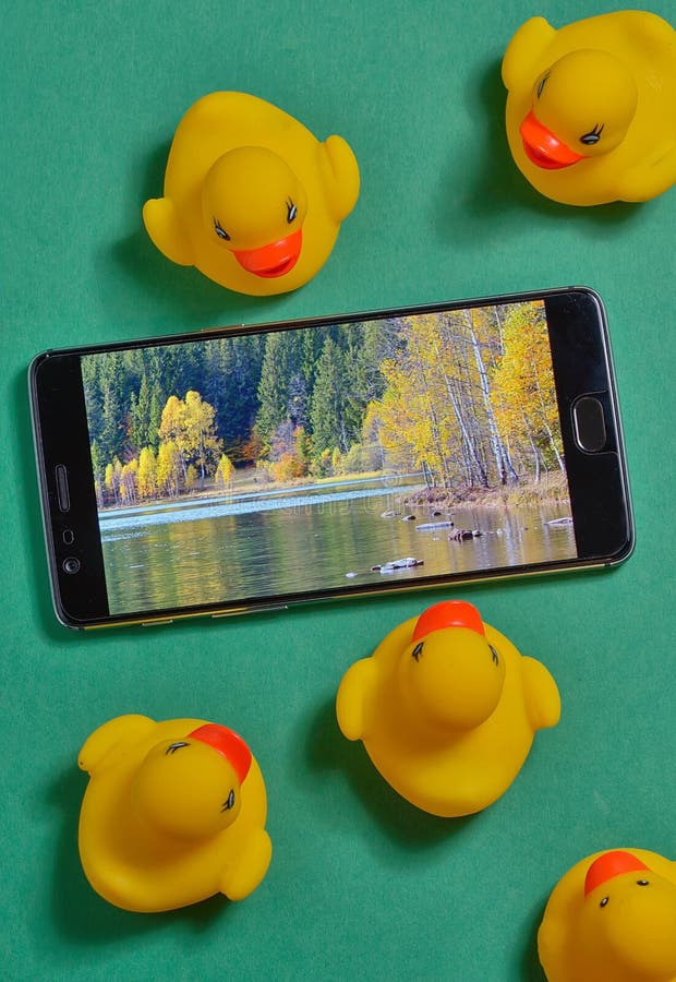 Yellow Rubber Duck and Smartphone Concept Stock Photo - Image of ...