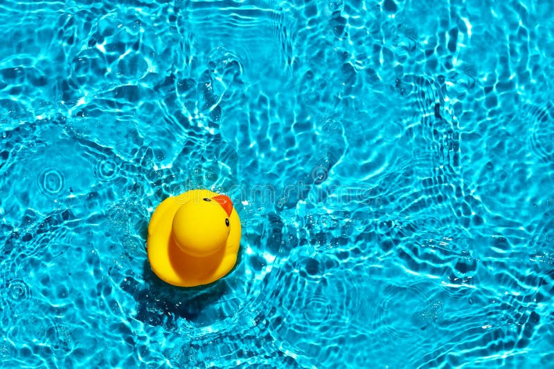 Yellow Rubber Duck Toy Floating on a Swimming Pool Stock Image - Image ...