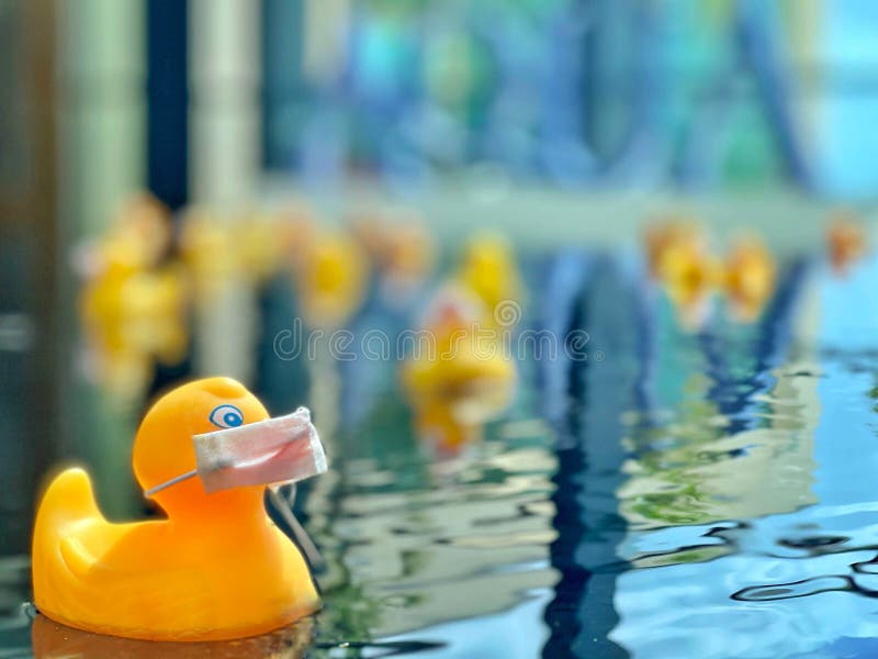 The Yellow Rubber Duck are Wearing Mask Stock Image - Image of infect ...