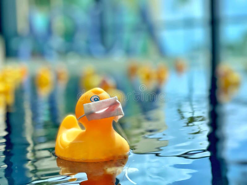 The Yellow Rubber Duck are Wearing Mask Stock Image - Image of ...