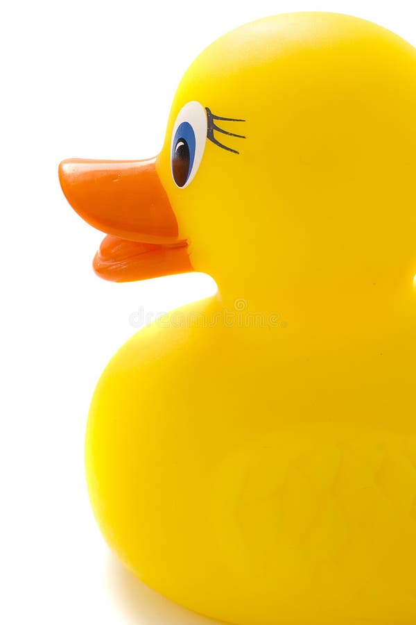 Yellow rubber duck stock photo. Image of wading, bathing - 49592392