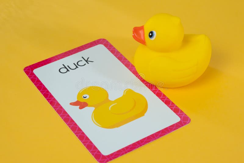 Animal Flashcard Stock Photos - Free & Royalty-Free Stock Photos from ...