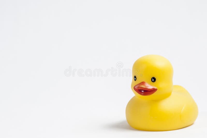 Yellow rubber duckie stock photo. Image of beak, child - 27733228