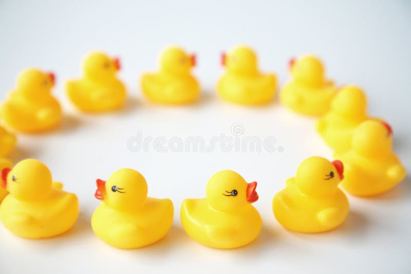 Yellow rubber duckies stock image. Image of playtime, ducklings - 2393597
