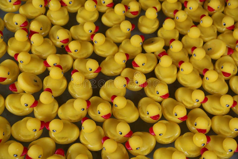 Yellow Rubber Duckies stock photo. Image of commodity - 82416534
