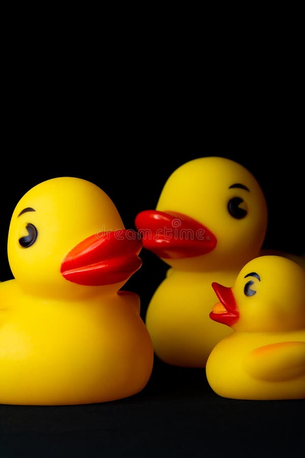 Yellow Rubber Ducks stock photo. Image of cleanliness - 212595118