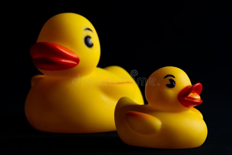 Yellow Rubber Duck stock image. Image of isolated, bird - 212599693