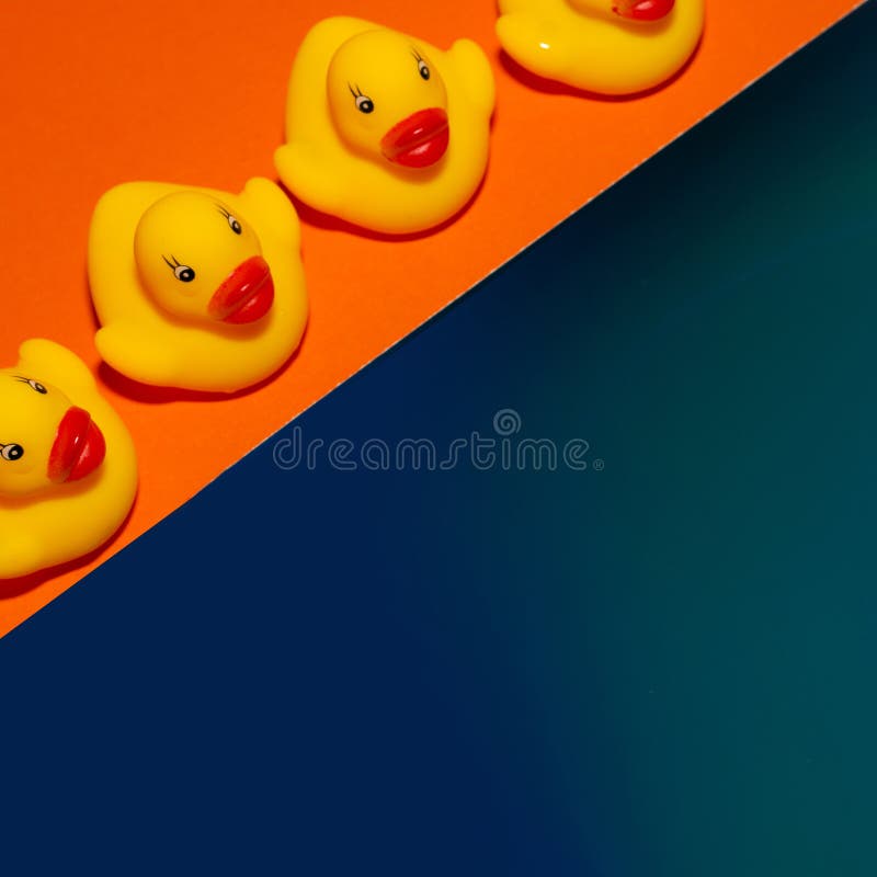 Yellow Rubber Ducks on Blue Water. Creative Summer Concept Stock Image ...