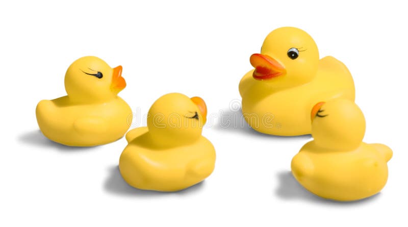 Yellow Rubber Ducks Isolated on White Stock Image - Image of play ...