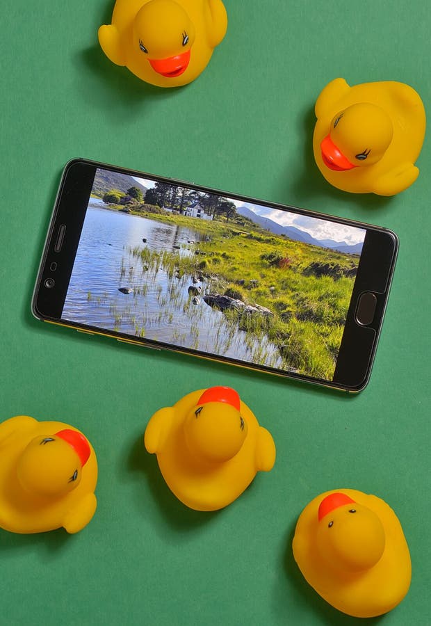 Yellow Rubber Ducks and Smartphone Concept Stock Photo - Image of ...