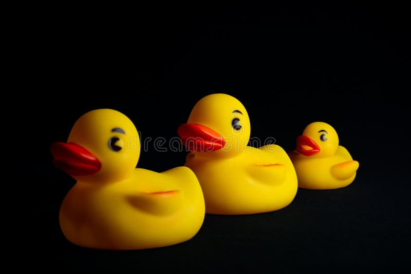Yellow Rubber Ducks stock photo. Image of beak, bathroom - 213042738