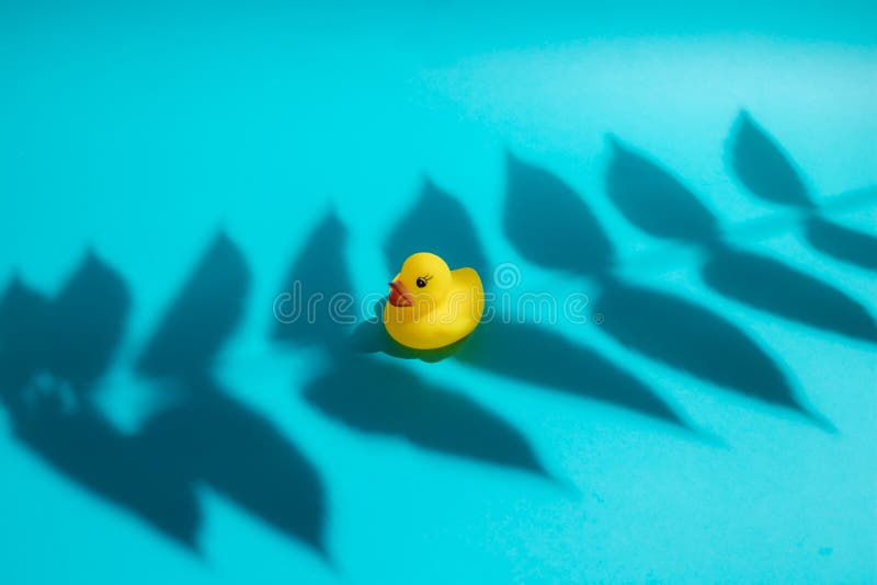 Yellow Rubber Toy Duck on a Blue Background with Leaf Shadow Stock ...
