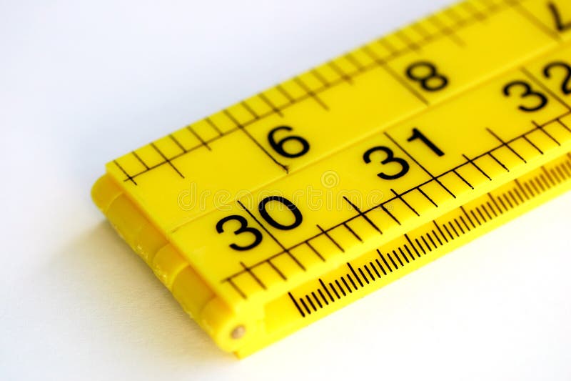 Yellow Ruler Picture. Image: 1812419