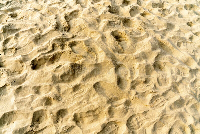 A Stretch of Sand by the Sea Stock Image - Image of architecture ...