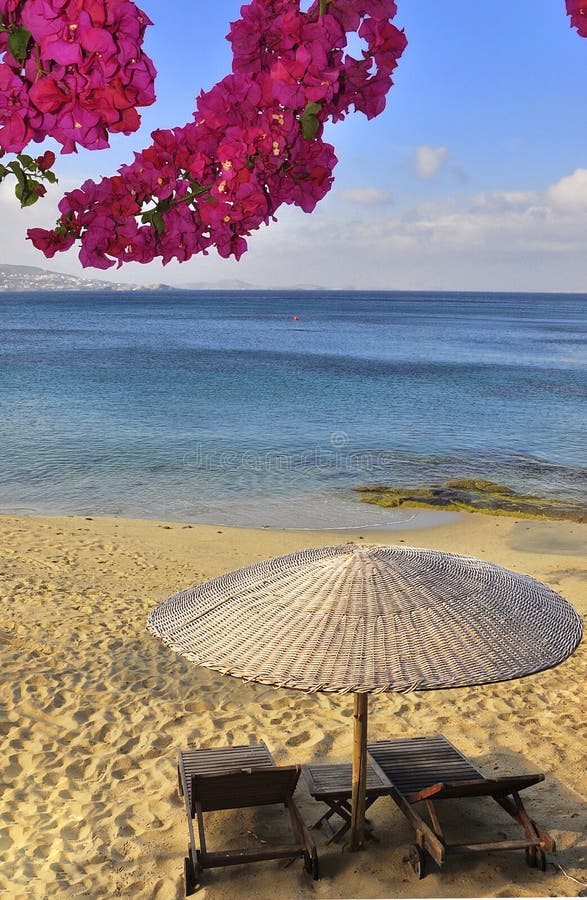 Yellow Sand and Beautiful Flowers of Paradise Beach Stock Image - Image ...