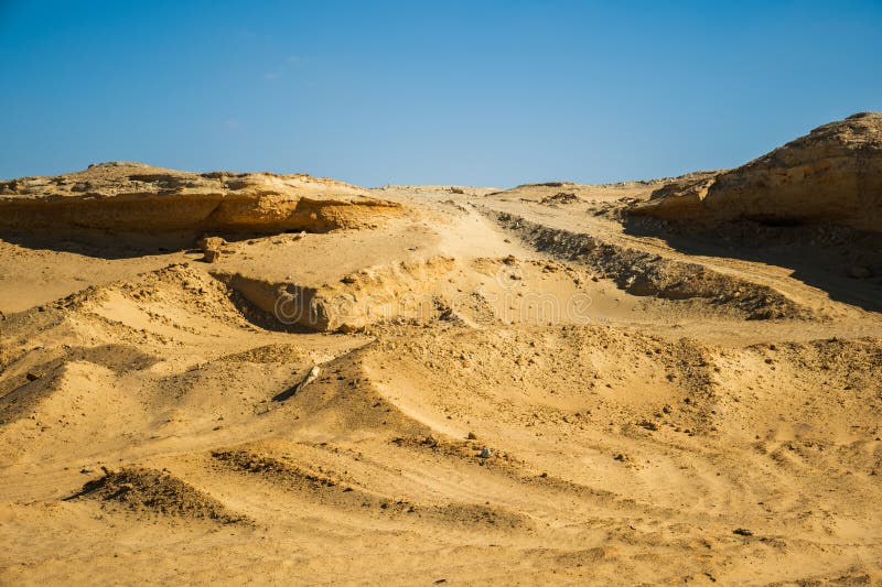 Yellow Sand Dune in the Desert Sahara in Egypt Stock Image - Image of ...
