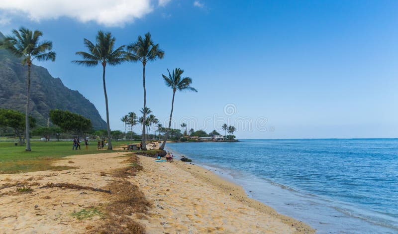 Yellow Sand and Palms on the Beach of Waikiki in Honolulu, Hawaii ...