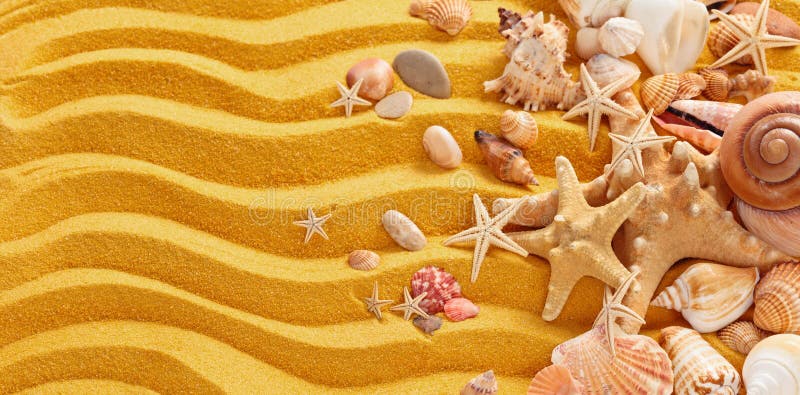 Yellow Sand and Seashells Background. Stock Image - Image of collection ...