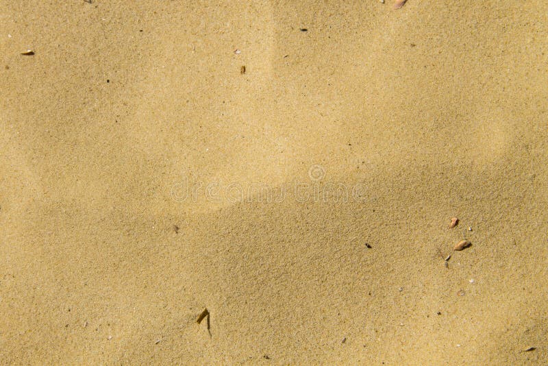 Sand Texture. Sandy Beach for Background Stock Photo - Image of design ...