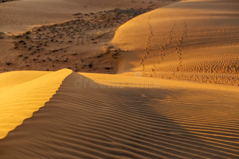 Yellow Sandy Wavy Dunes Texture Stock Image - Image of extreme, ripple ...
