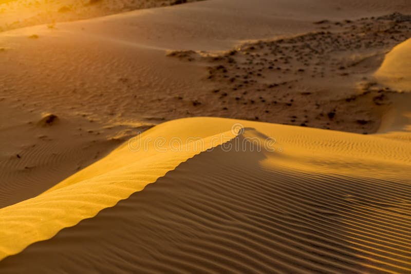 Yellow Sandy Wavy Dunes Texture Stock Photo - Image of adventure, heat ...