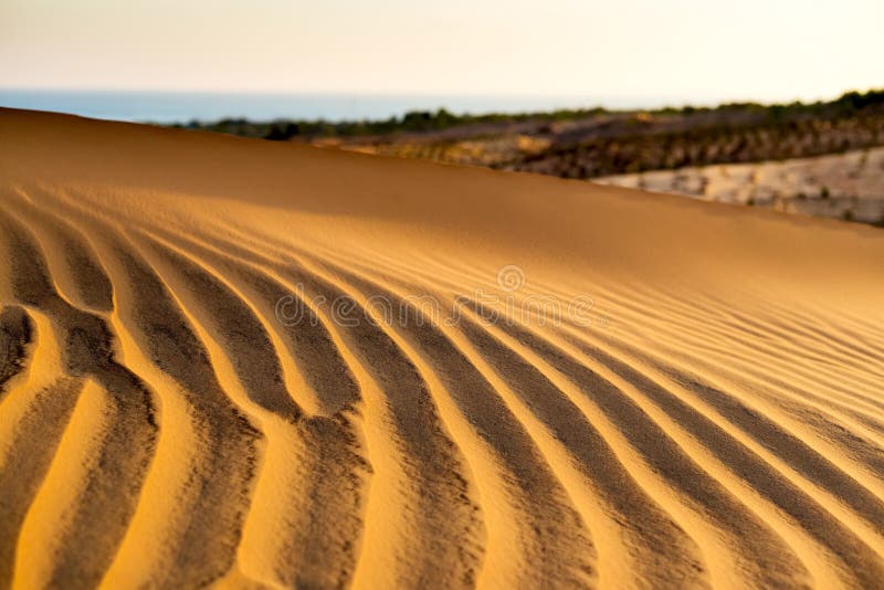 Yellow Sandy Wavy Dunes Texture Stock Photo - Image of ripple, sandy ...