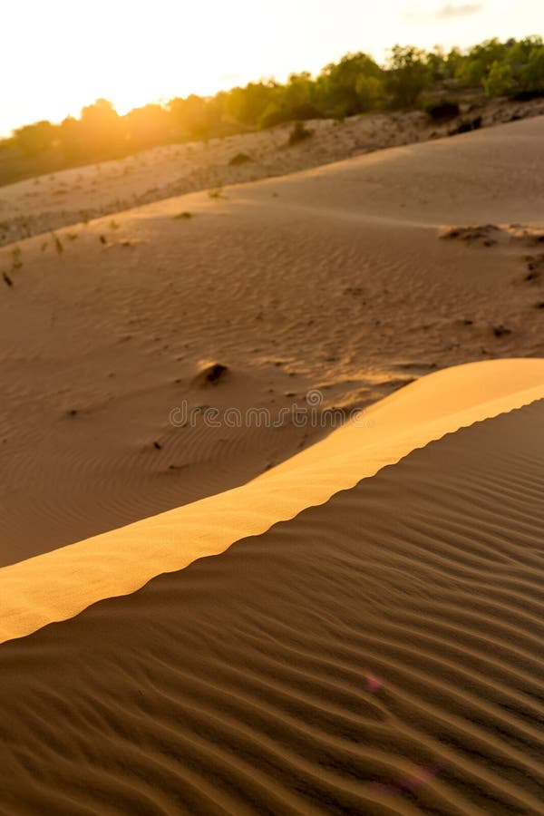 Yellow Sandy Wavy Dunes Texture Stock Image - Image of land, scenery ...