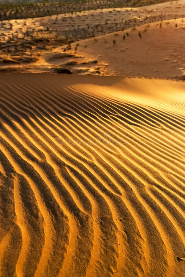 Yellow Sandy Wavy Dunes Texture Stock Photo - Image of orange, freedom ...