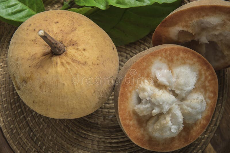 Yellow Santol Tropical Fruit of Thailand Stock Photo - Image of asian ...