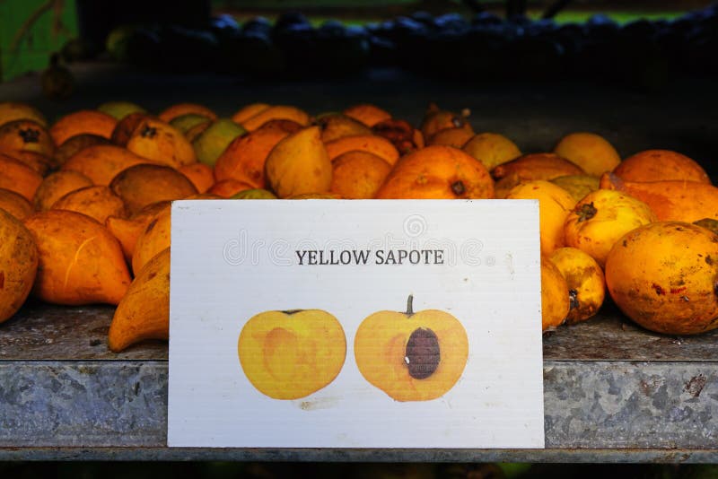 A yellow sapote fruit stock image. Image of tropical - 99512167
