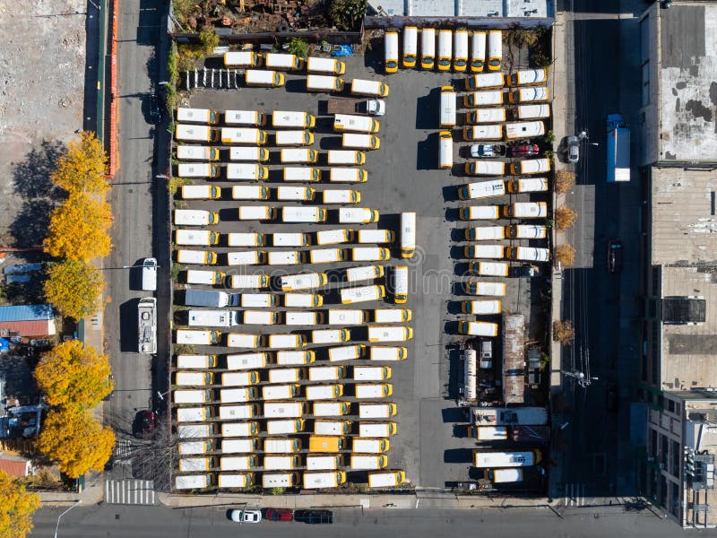 Yellow School Buses Aerial Top View Stock Image - Image of summer ...