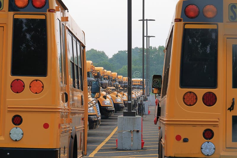 Yellow School Buses Lined Up and Ready for Kids To Go Back To School ...
