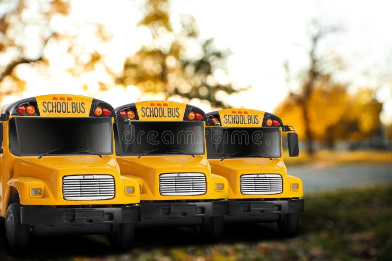 Yellow School Buses Outdoors. Transport for Students Stock Image ...