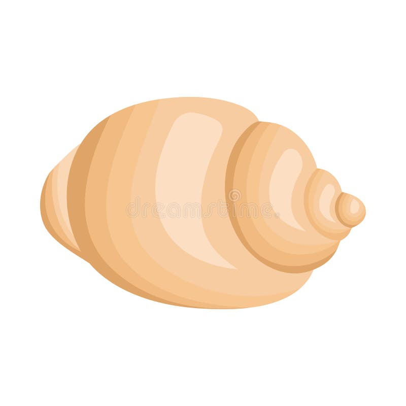 Yellow seashell design stock vector. Illustration of nature - 246564809