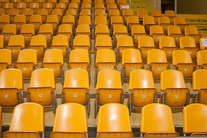 Yellow seat in the stadium stock photo. Image of bench - 58105030