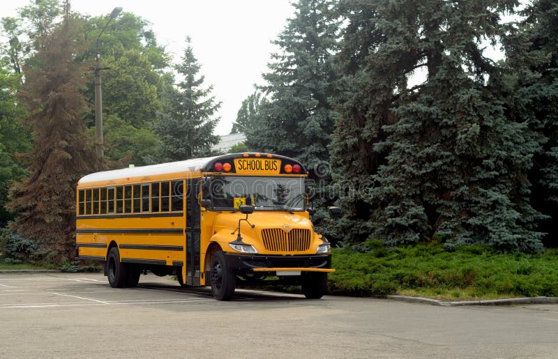Yellow Shcool Bus in Green Forest Stock Image - Image of season, misty ...