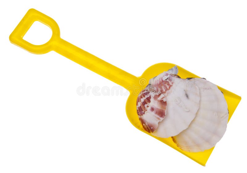 Yellow Shovel Full of Shells Stock Image - Image of childhood, pink ...
