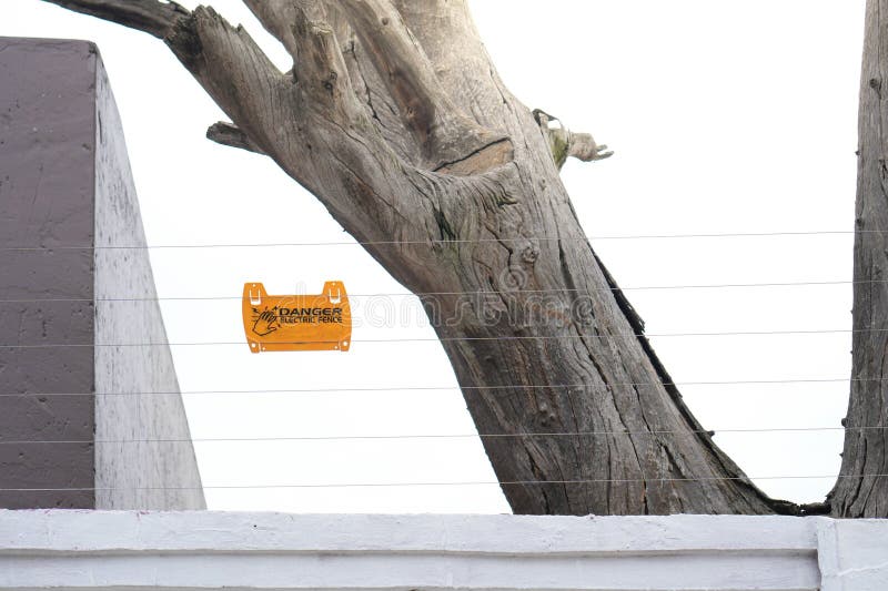 Yellow Sign Hanging from Tree Trunk Stock Photo - Image of outdoors ...