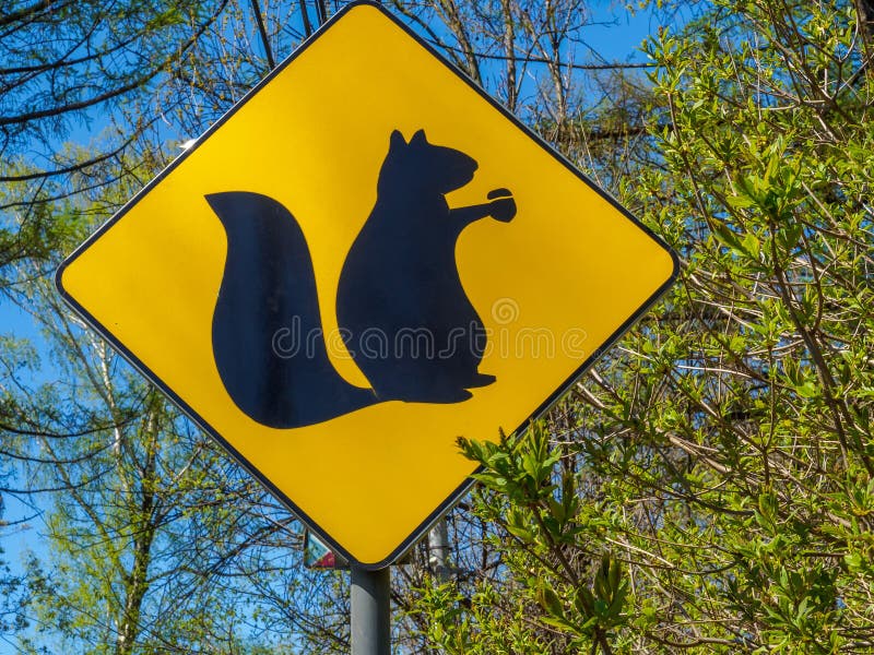 Yellow Sign with a Picture of Squirrels Stock Image - Image of outdoor ...