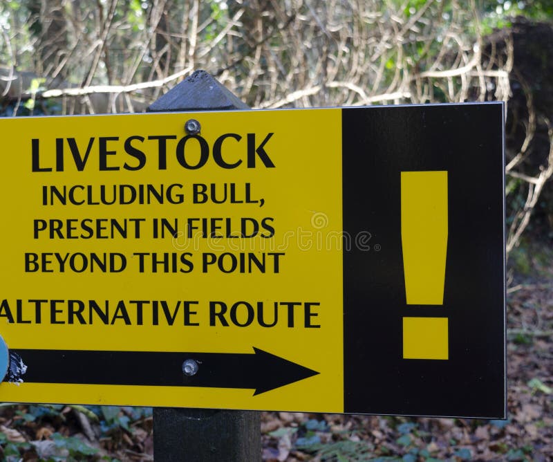 Yellow Sign Warning of Bull in the Field Stock Image - Image of cattle ...