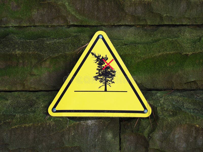 Yellow Sign Warning about the Danger of Falling Trees Hanging on a ...