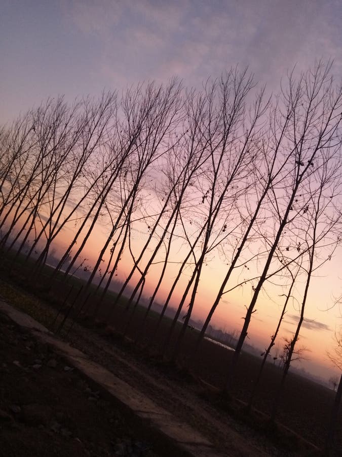 Yellow Sky stock photo. Image of yellow - 170452550