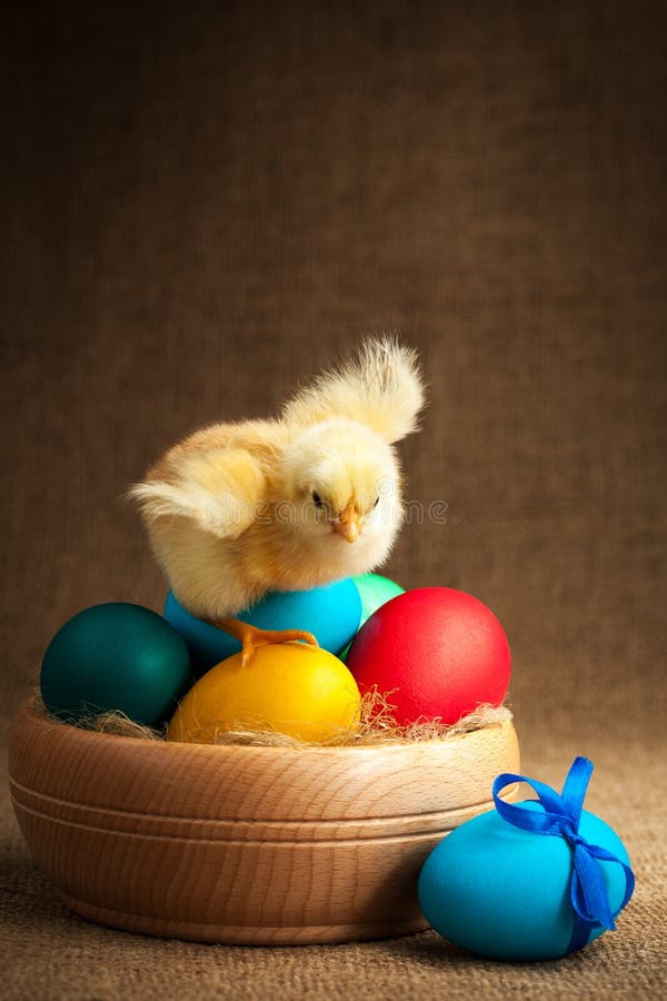 Yellow Small Chick with Easter Eggs Stock Image - Image of cute, bird ...