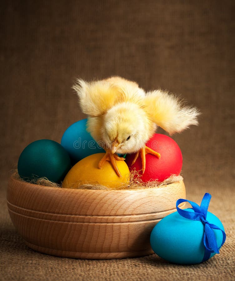 Yellow Small Chick with Easter Eggs Stock Photo - Image of wood ...