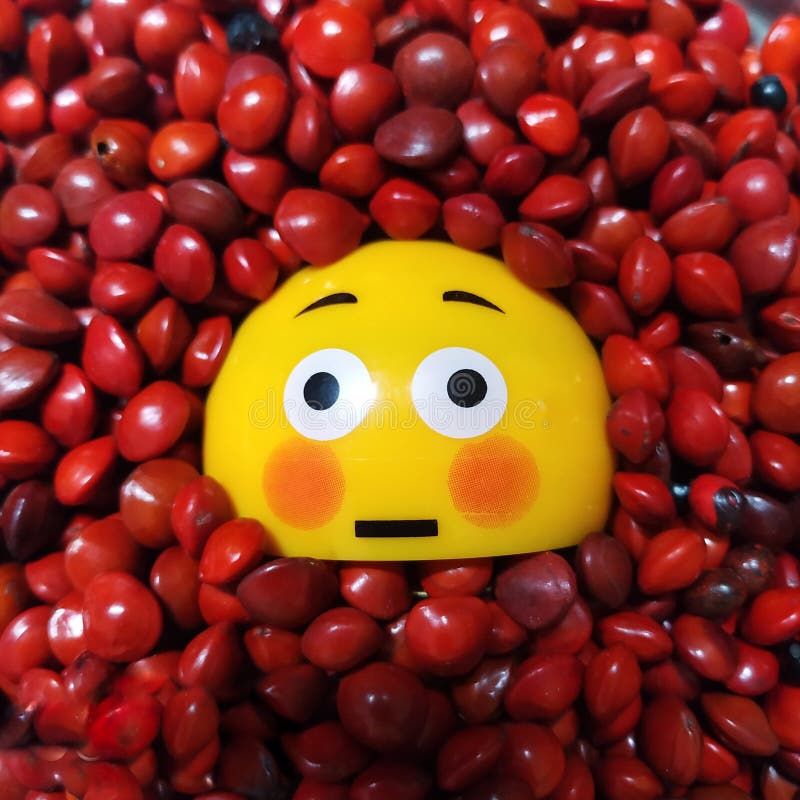 Yellow smiley on red seeds stock image. Image of smiley - 190599951