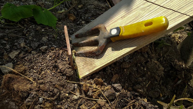 Yellow Soil Fork Lay on Wood Plate. Stock Photo - Image of matter, soil ...
