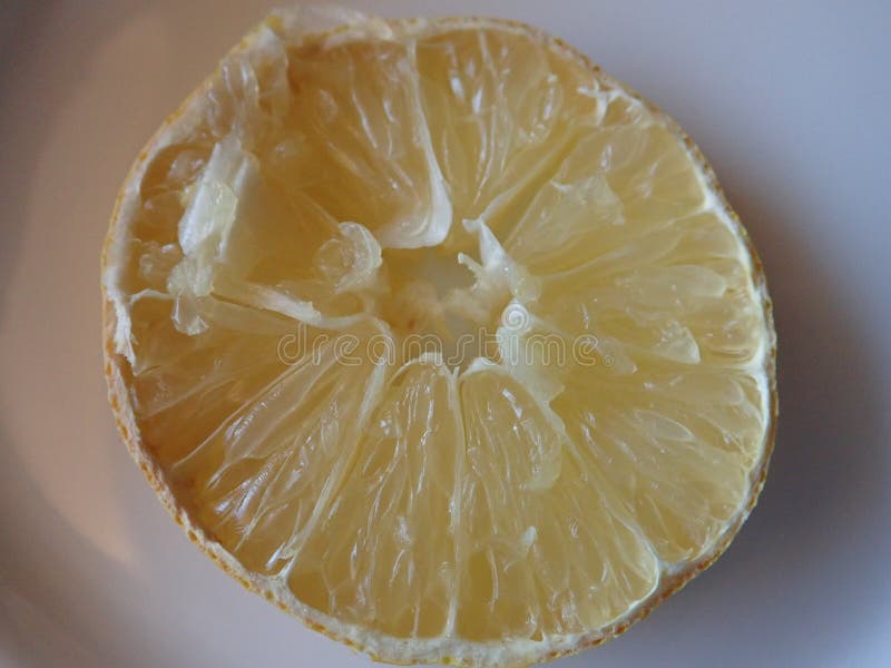 Yellow sour lemon on slice stock image. Image of path - 263528347